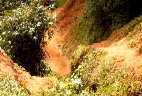 Population Reallocation Methods To Support Emergency Evacuation