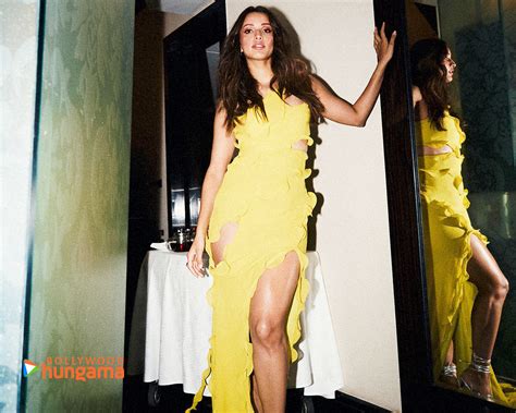 Triptii Dimri Wallpapers Triptii Dimri 1 6 Bollywood Hungama