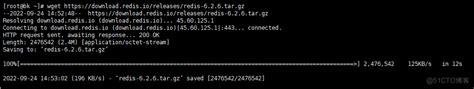linux下redis安装与配置 csdn博客