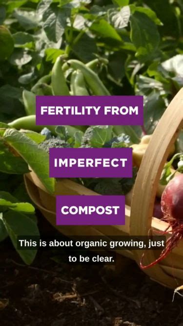 Organic Growing Compost Compost Growing Organic