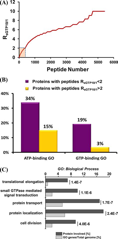 Comprehensive Characterization Of Sgtp Binding Proteins By Orthogonal