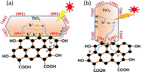 001 And 101 Facet Dependent Contact Interfaces For Tio 2 Download Scientific Diagram