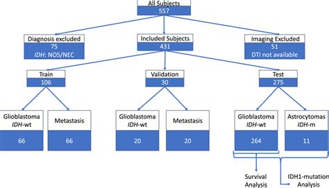 datasets train validation test survival and idh1 mutation
