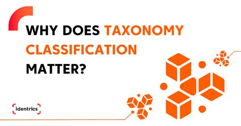 Unlocking Business Insights With Data Taxonomy Classification