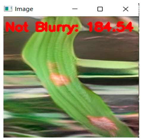 Applied Sciences Free Full Text An Improved Approach To Detection Of Rice Leaf Disease With