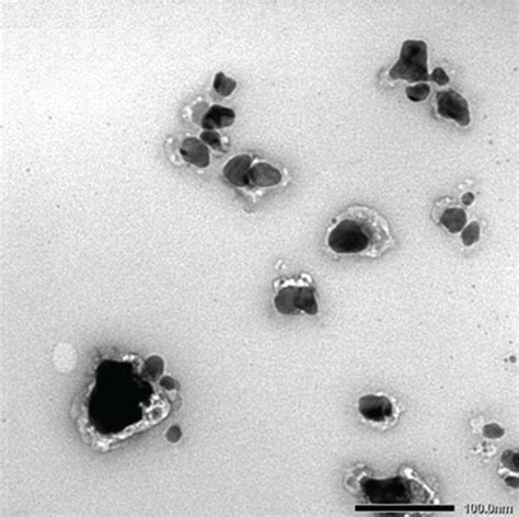 A Tem B Particle Size Distribution C Hrtem And D Edx