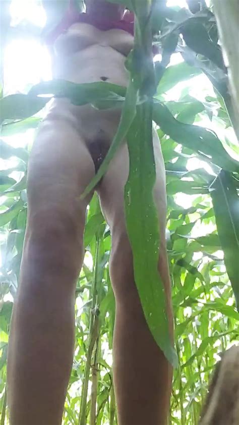 Squirt In Corn Field Moaning Amateur Porn Feat Julieeroticdress