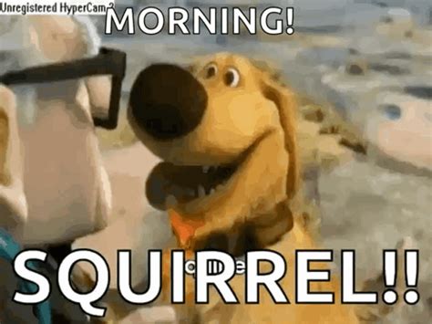 Pixar Squirrel S Tenor