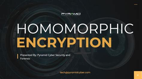 Pyramid Cyber Security And Forensic On Linkedin Homomorphicencryption Dataprivacy