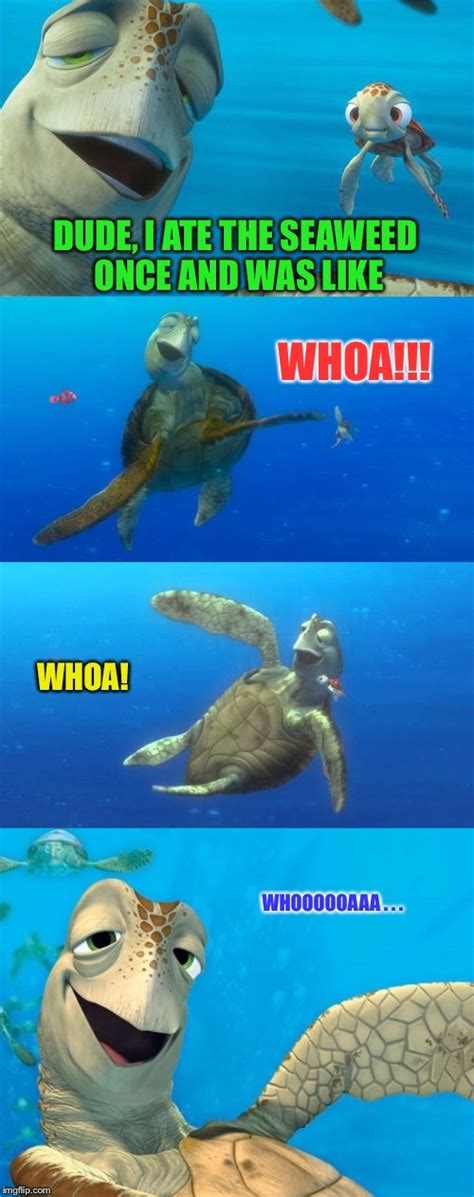 Finding Nemo Mine Meme