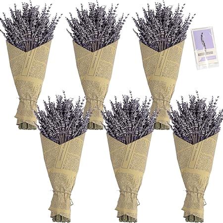 12 Pack Dried Lavender Bundle Organic Lavender Flowers Bulk