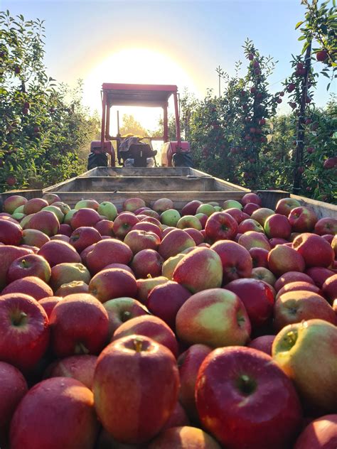 Keeping Kent Growing Insidekent