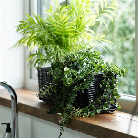 Black Rectangular Wicker Lined Window Planter Basket Arthur Cameron