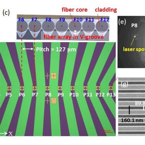 A Cross Section Sketch Of An Snspd Array Chip Coupled With A Fiber