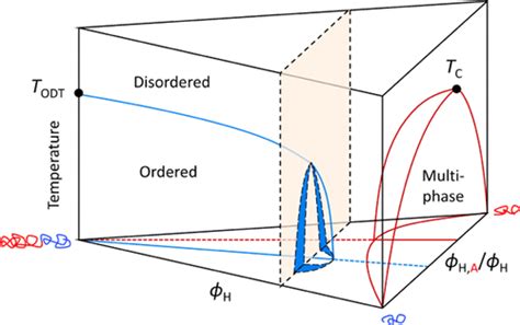 Phase Behavior Of Diblock Copolymerhomopolymer Ternary Blends With A Compositionally Asymmetric