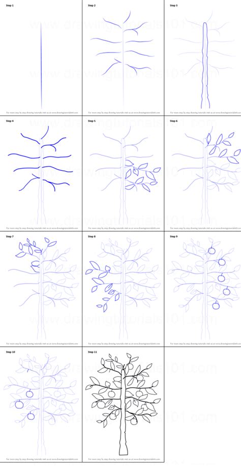 How To Draw A Tree Step By Step Image Guides