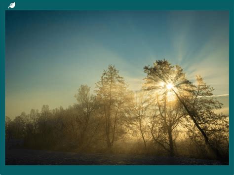 Define Recyclability What Is Recyclability And Its Benefits