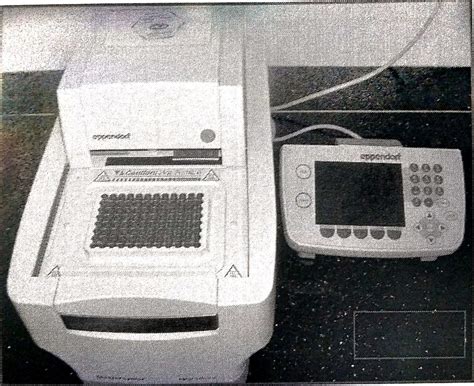 Polymerase Chain Reaction PCR Biology Ease