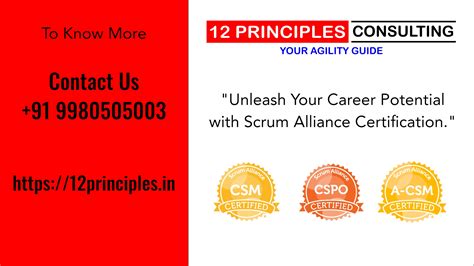 Agile 12 Principles Consulting