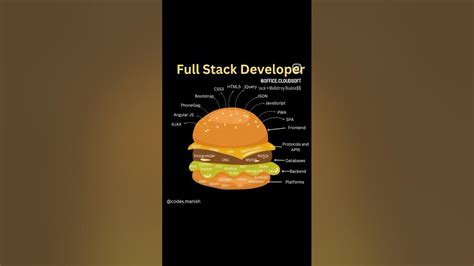 Full Stack Developer Java Dotnet Python Fullstack Programmer