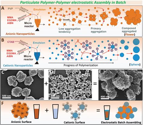 Hierarchical Assemblies Of Polymer Particles Through Tailored Interfaces And Controllable