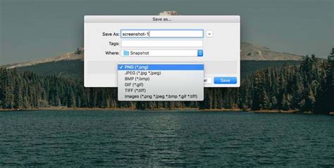 Ways To Crop A Screenshot On Mac Full Screen Window Any Region