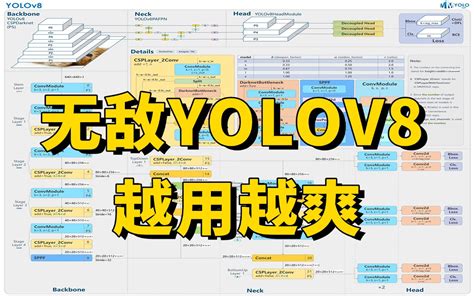 【yolov8】一小时掌握！从0开始搭建部署yolov8，环境安装推理自定义数据集搭建与训练，入门到精通！ Goho 桃花 Yolo 哔哩哔哩视频