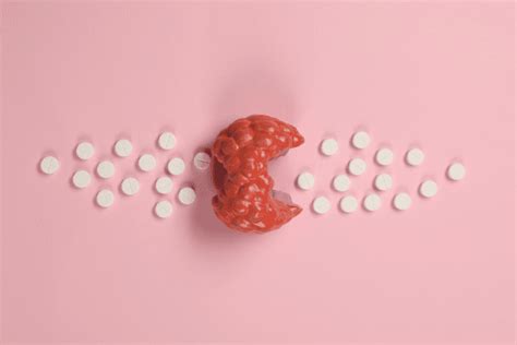 What Is Synthroid Used For The Essential Guide To Its Uses And Dosage Read This Article Online