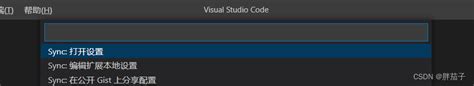 Vscode 系列（三）settings Sync插件，多人开发同步配置。 Csdn博客