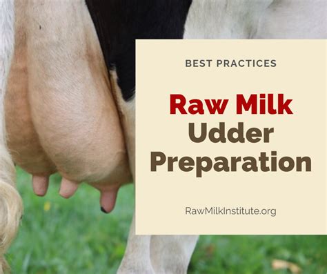 Udder Preparation For Raw Milk — Raw Milk Institute