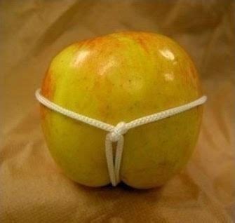 Funny Blog You Know The World S Most Sexy Apple Which One