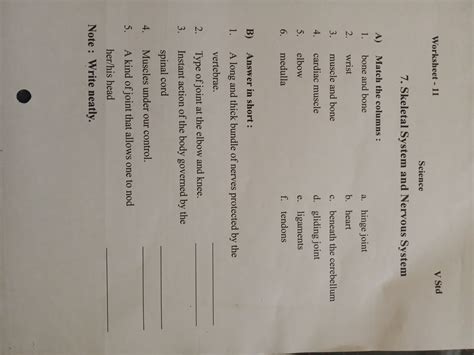 Skeletal System And Nervous System Science Assignment Teachmint