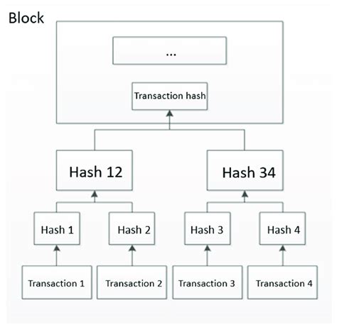 The Scheme Of Obtaining A Hash Of Transactions In Cryptocurrencies Download Scientific Diagram
