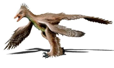 Xiaotingia Pictures And Facts The Dinosaur Database