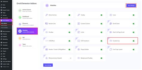 custom css modules droit elementor addons
