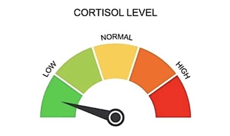 Low Cortisol Meme Low Cortisol Low Cortisol Discover And Share S