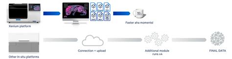 Xenium Advantage 10x Genomics