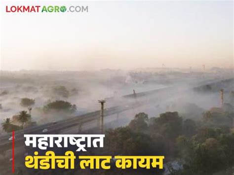 Maharashtra Weather Update कोकणासहित महाराष्ट्रात थंडीची लाट कायम पावसाचे काय वाचा सविस्तर