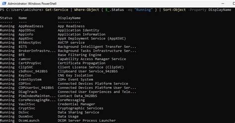 Cmdlets 101 What They Are And How To Use Them In Powershell