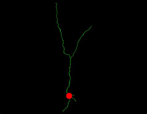 Detailed Cell Information Rat2 2 1l Neuron 1 Stellate Mepd