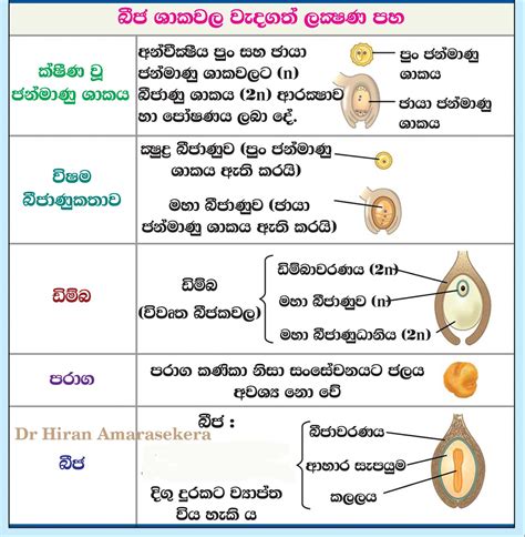 බීජ ශාකවල වැදගත් ලක්ශන Seed Plants Dr Hiran Amarasekera Facebook