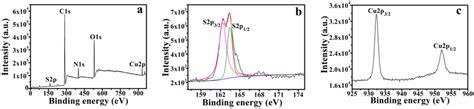 A Xps Survey Spectra Of Cuncs B Xps Spectrum Of S2p C Xps