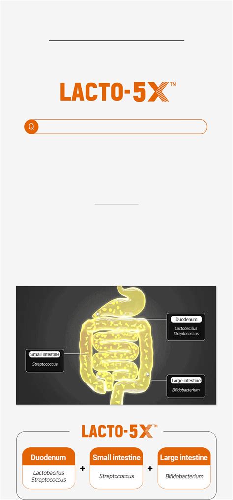 LACTO-FIT Probiotics Gold 30 Sticks – Seoul Bazaar