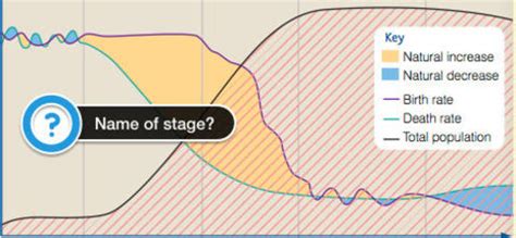 Population Change Flashcards