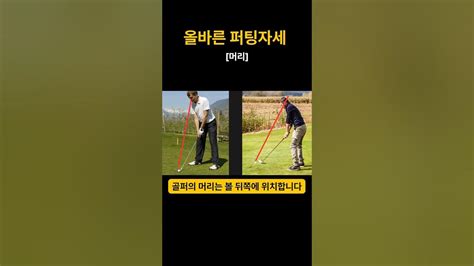 골프초보자를 위한 올바른 퍼팅 자세 머리 위치 골프 타수를 주이기 위해 가장 중요한 퍼팅 골프초보 퍼팅 퍼팅잘하는법