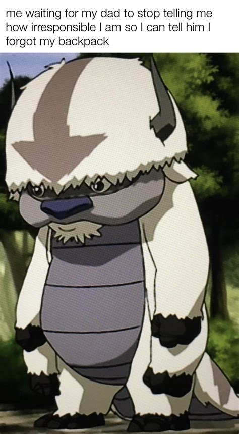 Appa Standing Up Straight Is Cursed Rdankmemes