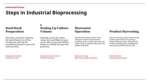 Bioprocessing Overview Upstream And Downstream Processes Pptx
