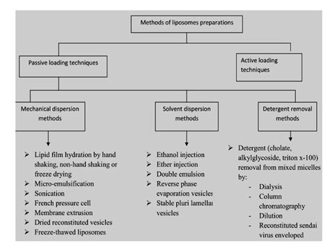Liposomes Classification Methods Of Preparation And Application Ppt