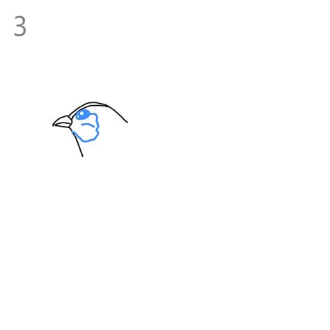 How To Draw A Sparrow Step By Step Easy Drawing Guides Drawing Howtos