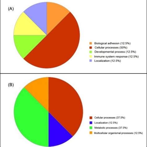Pie Chart Representing The Proteins With Expressional Alteration In